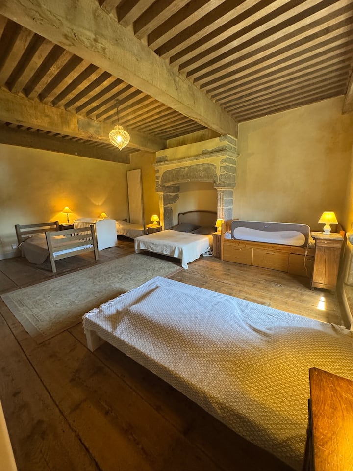 Dent Du Chat -Chambre Familiale Dans Manoir Du Xve - Belley