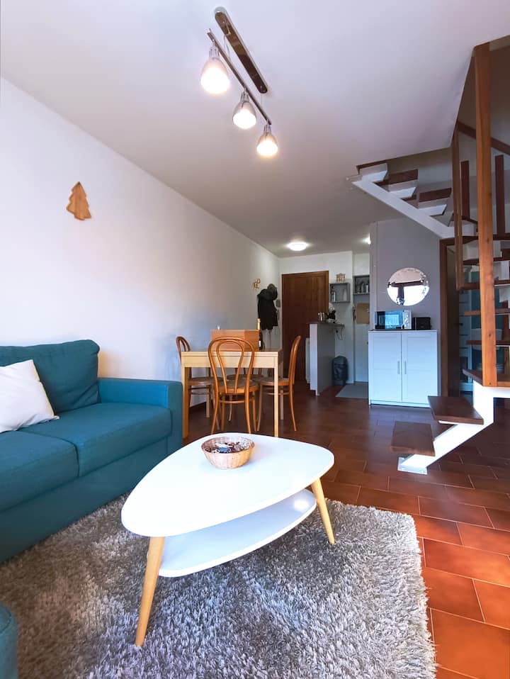 Belvedere-2 Bedrooms Terraced Flat-parking-smarttv - Limone Piemonte