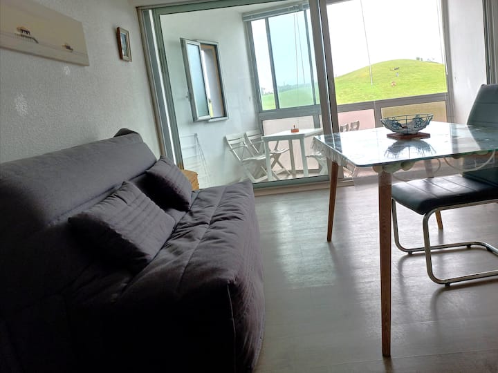 Studio Front De Mer - Sanguinet