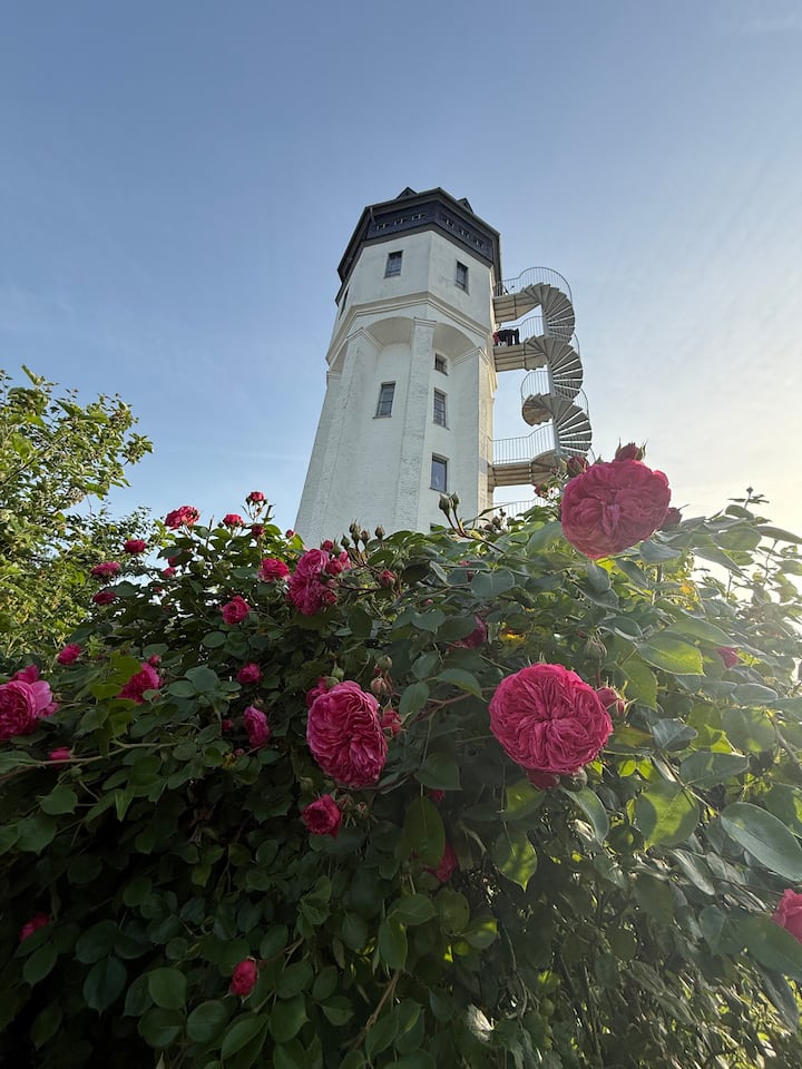 Historic Water Tower Near Phantasialand - Brühl