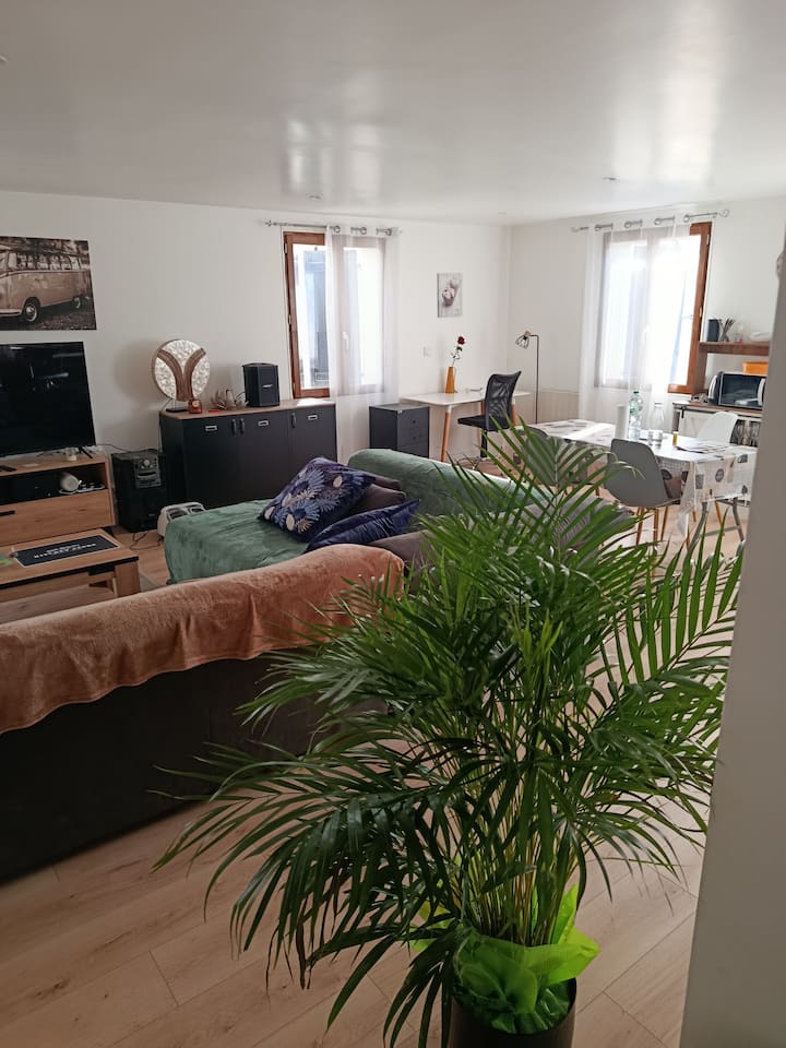 Appartement Spacieux, Cocooning Proche Du Centre. - Aniane
