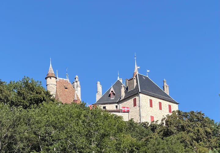 Studio Sous Château - Menthon-Saint-Bernard