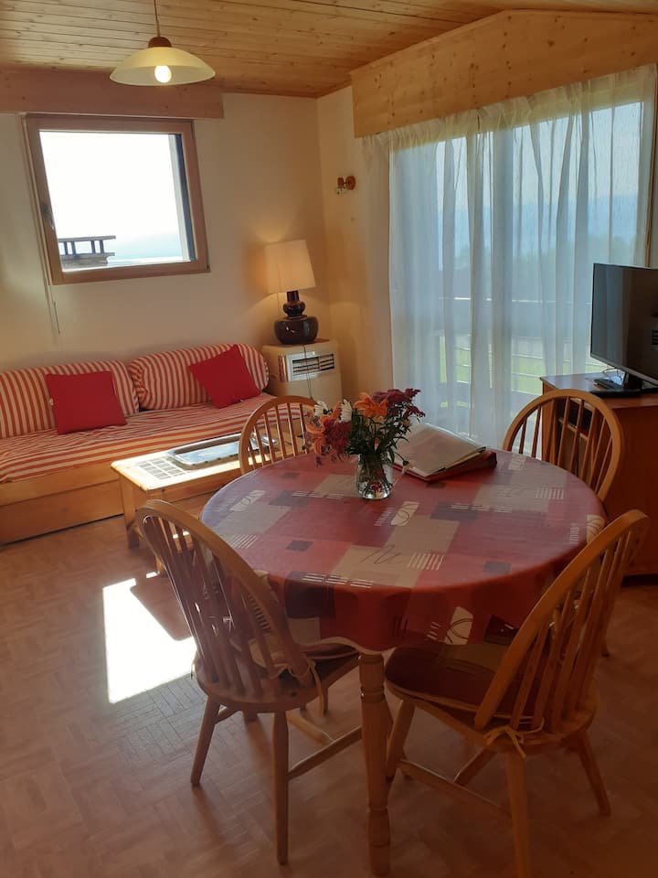Très Joli Appartement Avec Vue Sur Le Lac - Thonon-les-Bains
