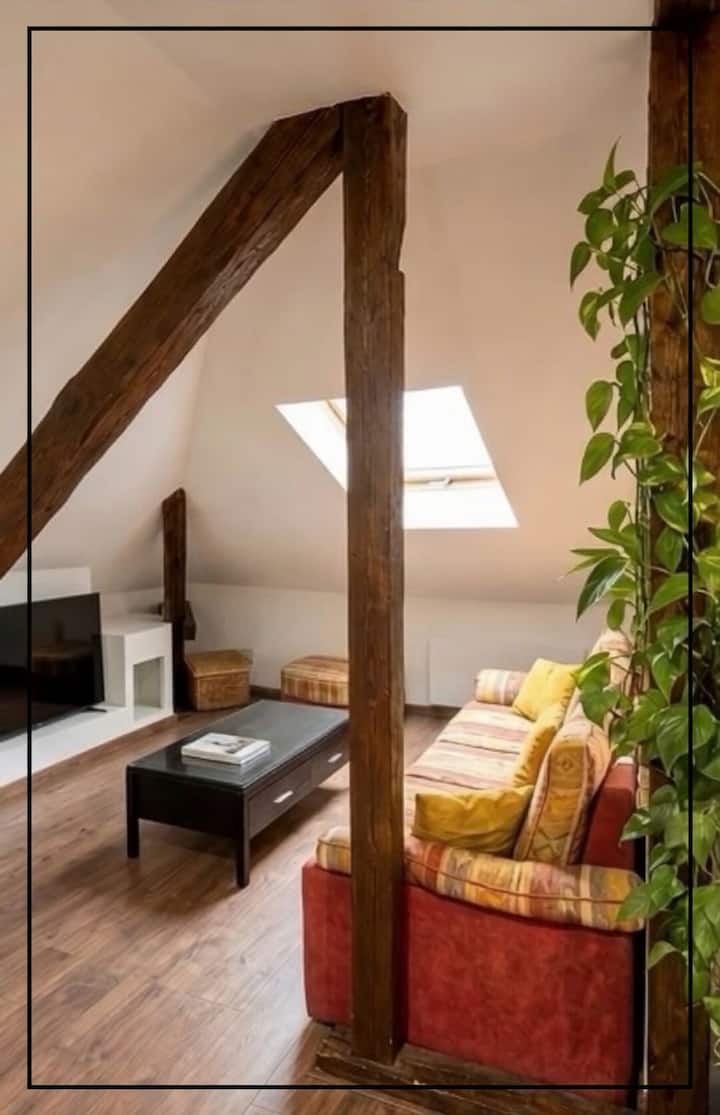 Loft Dexception Proche Centre Colmar - Colmar