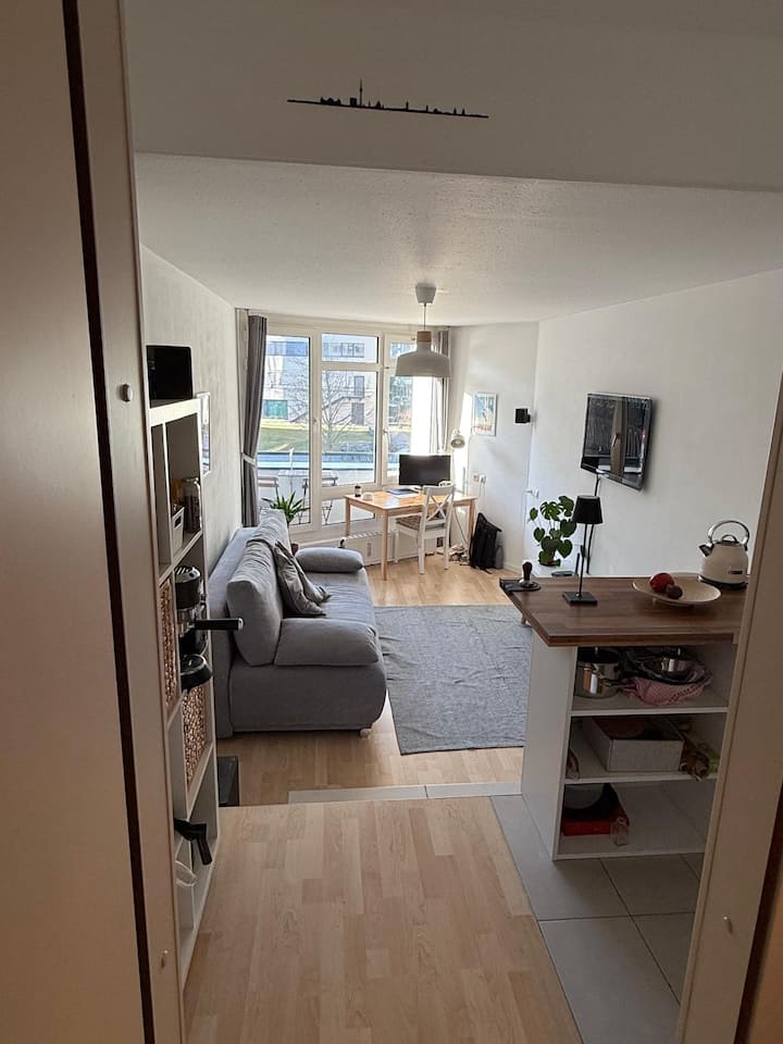 1-zimmer Wohnung In München Maxvorstadt - Munique