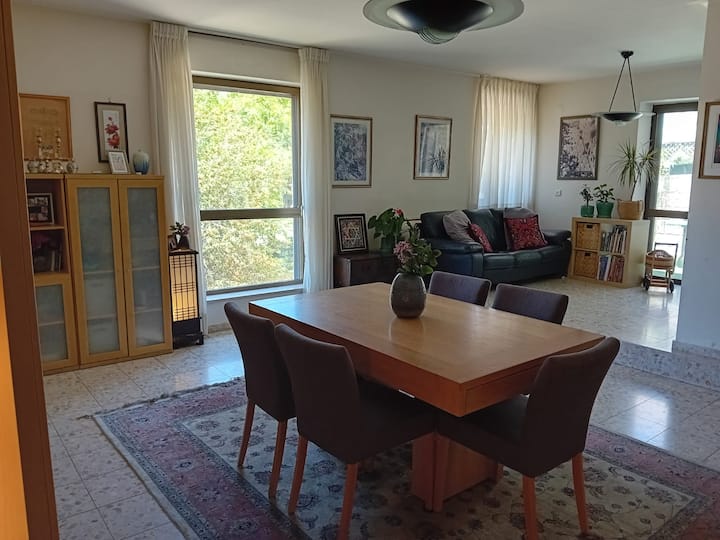 Spacious Rechavia Villa On The Park - Jerusalem