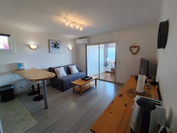 Très Bel Appartement, Parking, Climatisation - Port-Vendres