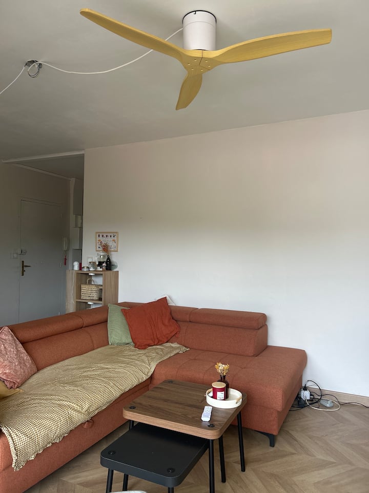 Appartement 3 Ch 8 Pers Océan à Vélo & Espagne - Hendaye