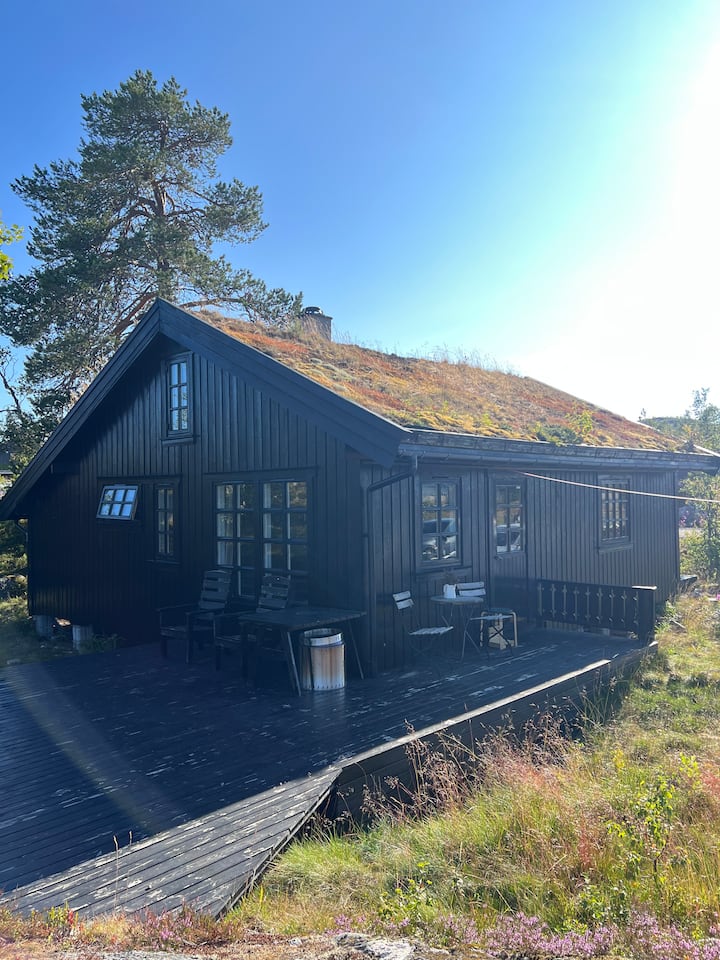 Koselig Familievennlig Hytte - Solrikt Uteområdet - Haukeli