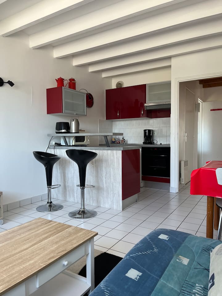 Charmant Duplex à Deux Pas Du Port De Vannes. - Vannes