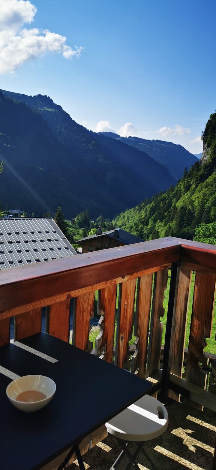 Le Bonheur En Savoie - Ugine