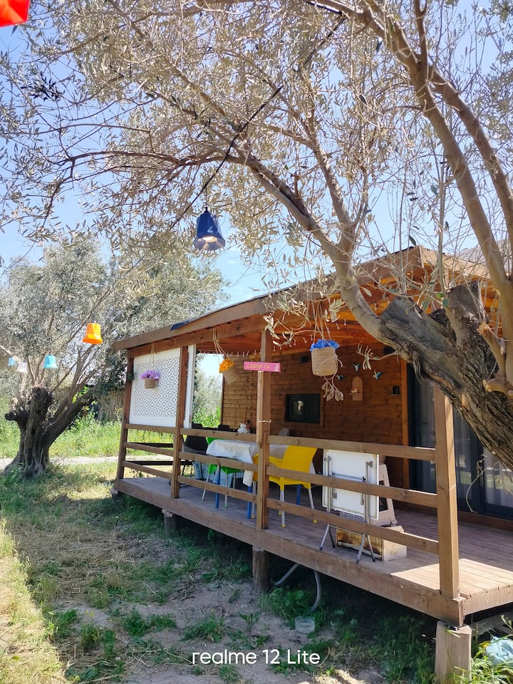 Papatya Evi - Seferihisar