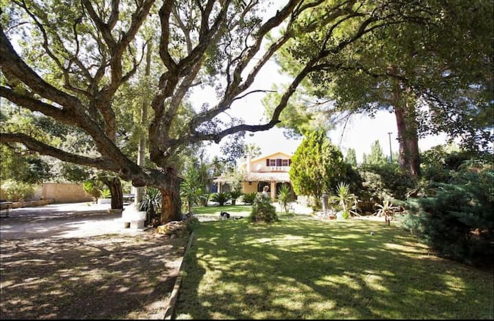 Villa Mediterrania Un'oasi Di Relax Ad Alghero - Alghero