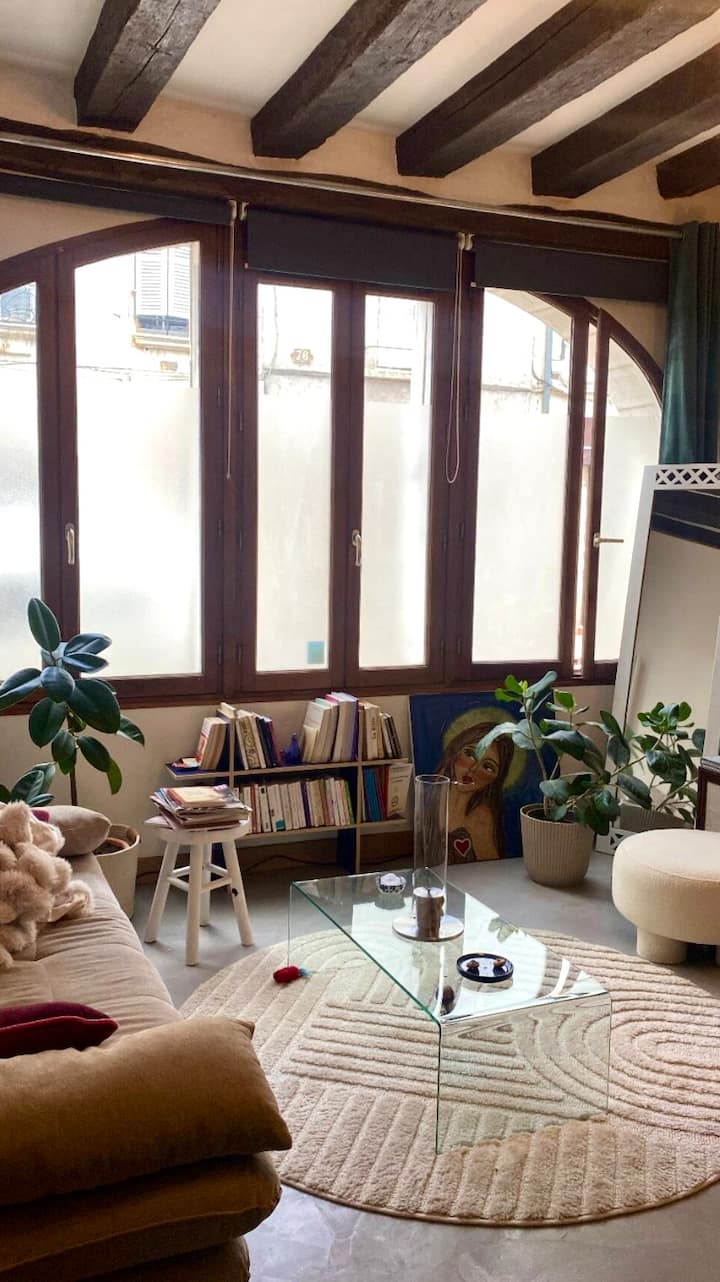 Charmant Appartement Mur En Tuffeau Et Cheminé - Tours