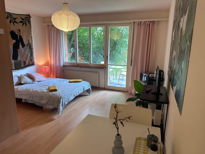 Cozy Studio, No Kitchen, 20 Min From Hb Lim 353 01 - Zürich