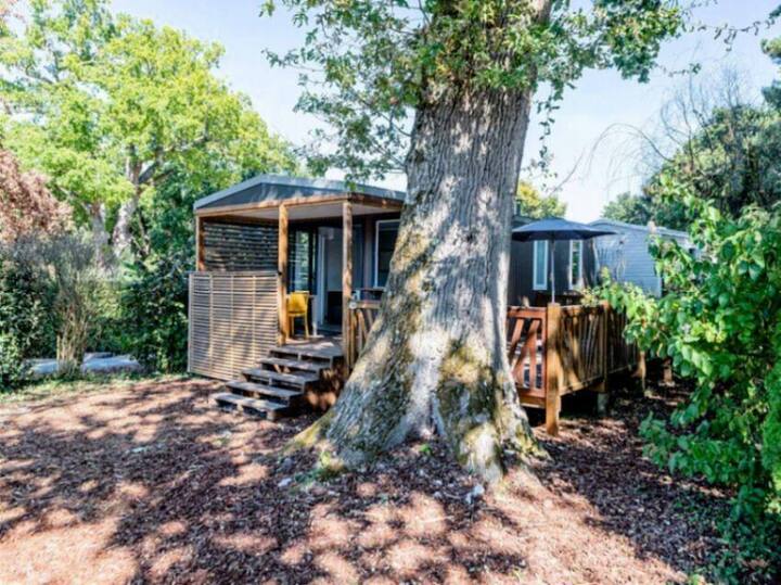 Cottage Pyla 3 Pièces 4 Personnes Climatisé Tv - Sanguinet