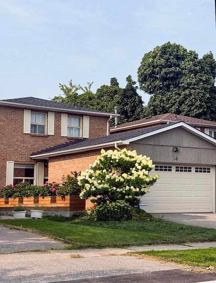 Cozy 1 Bedroom Basement - Ontario