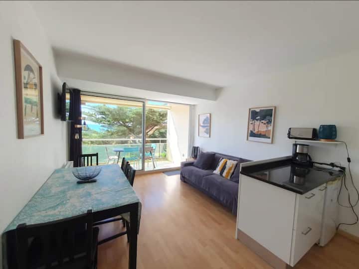 Agréable T2 "Le Chant Des Vagues"*vue Mer*parking - Capbreton