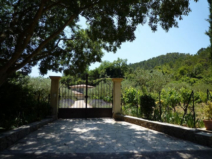 Villa Le Derroc - Cotignac