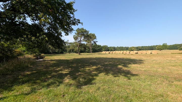 Module Conteneur - Studio - Brocéliande