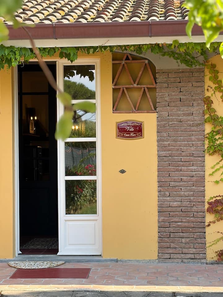 Casa Fiori- "Vite" - Cecina