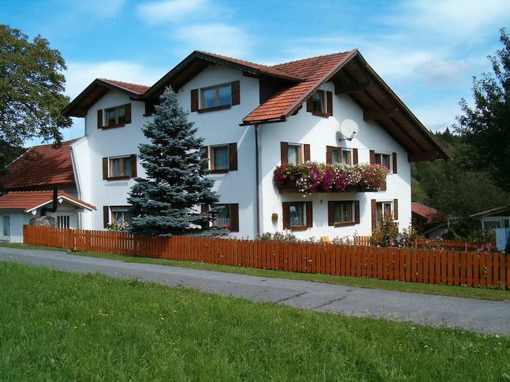 Ferienwohnung 1 - Spiegelau