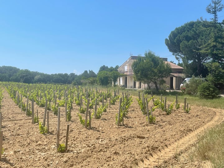 Entre Deux Vignes - Cadre Idyllique Pour 10 Pers. - Orange