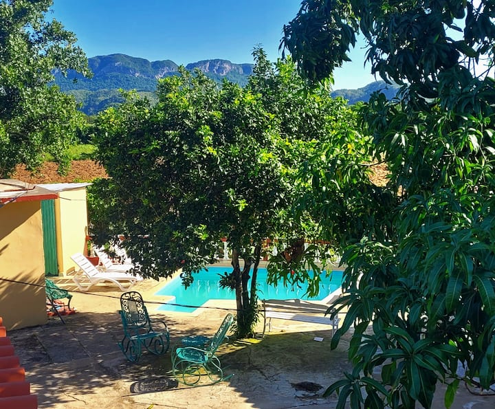 Casa Leibys Y Papito El Zapatero Pool & Room 2 Pax - Viñales