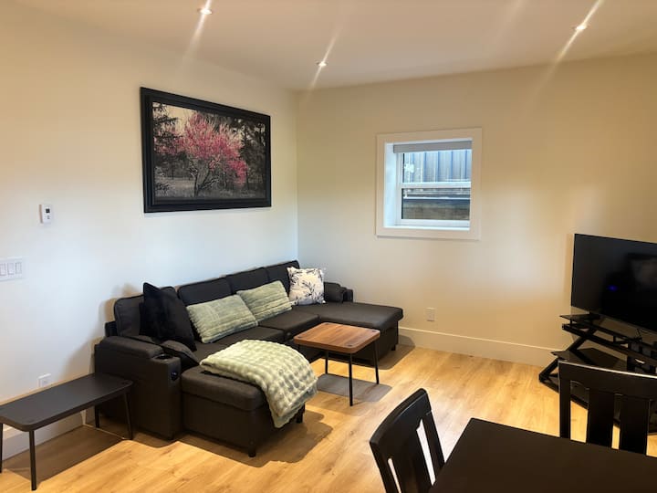 Basement Suite 1 Bedroom 1 Sofa Bed 1 Bathroom - Surrey