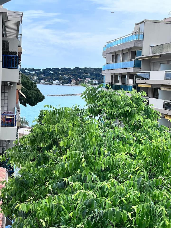 Spacious Sea-view Studio | City Centre & Beaches - Antibes
