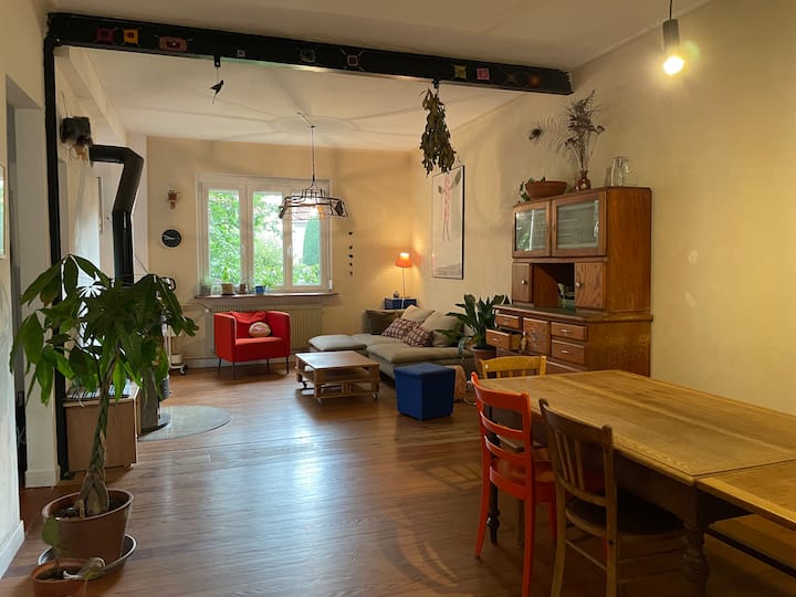 Grande Maison Avec Jardin - Estrasburgo