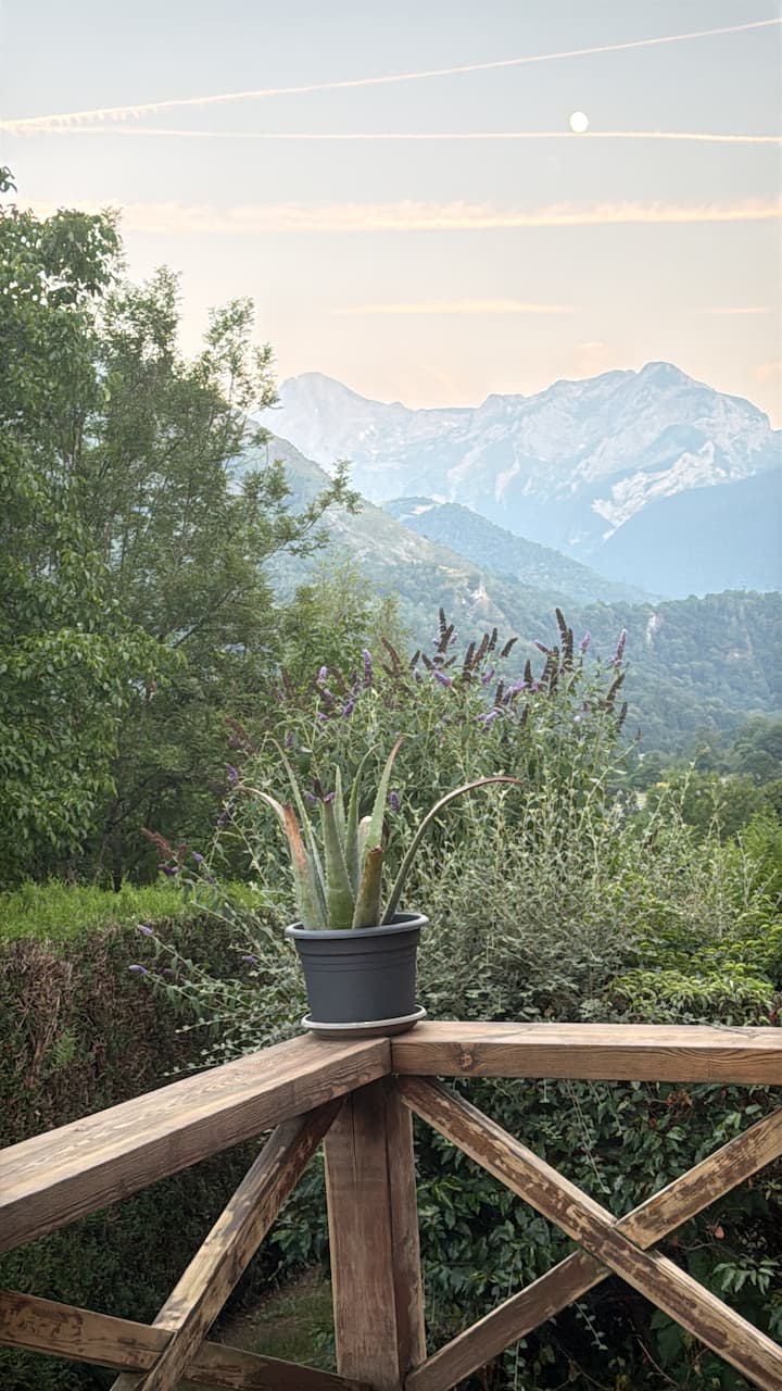 Chalet Bois, Vue Montagne - Pyrénées-Atlantiques