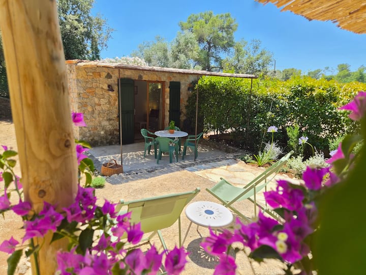 Cocon En Pierre Avec Jardin à Saint-paul-de-vence - Saint Paul de Vence