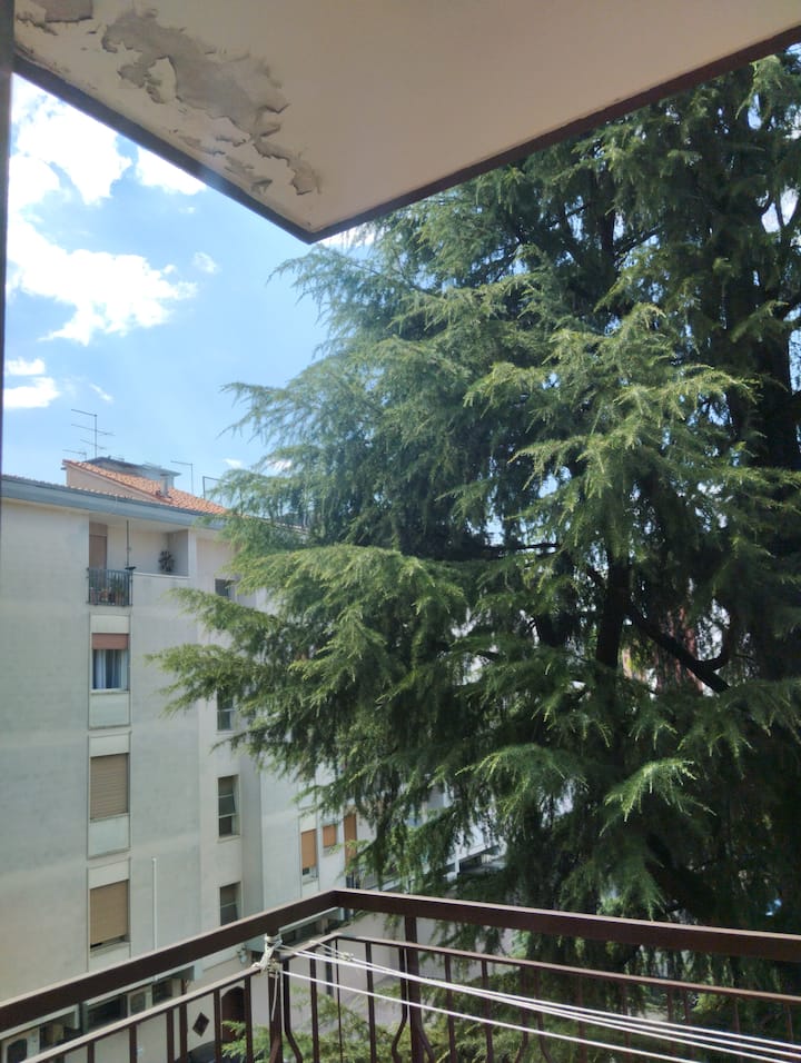 Appartamento 3 Camere Vicenza - Vicenza