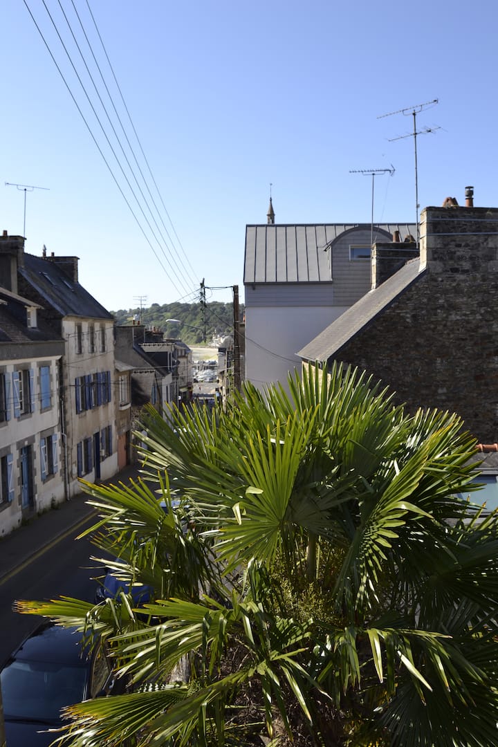 Binic Centre, Charmante Maison Sur 2 éTages. - Binic