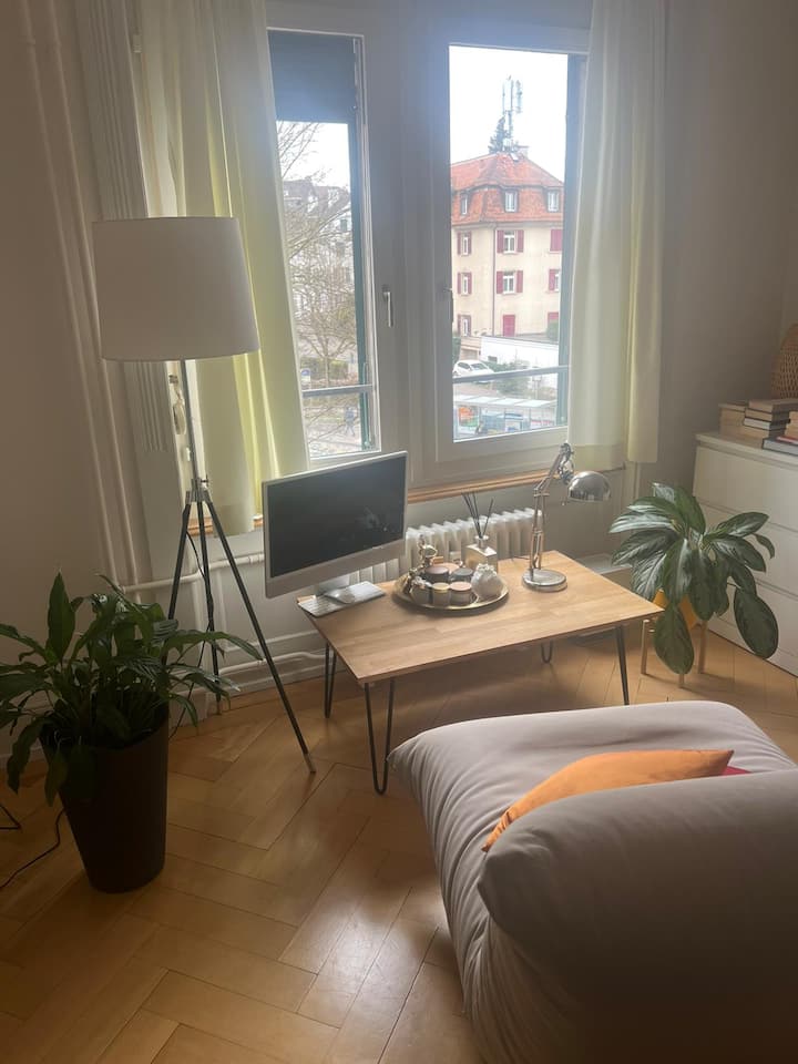 Charming Studio In The Heart Of Zurich. - Zürich