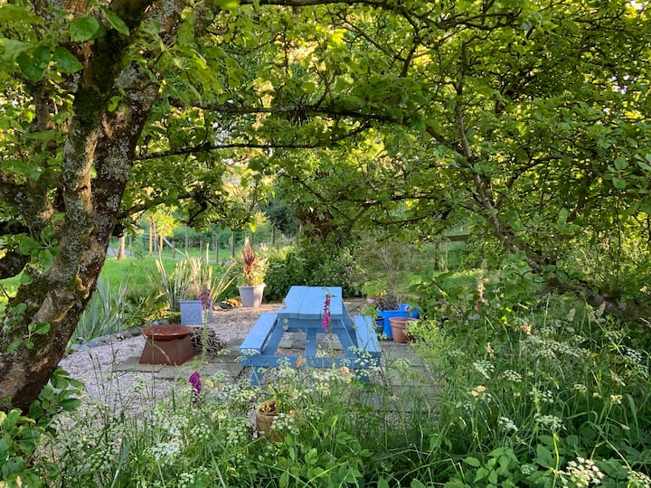 Ambrisbeg Cottage, Loch Quien, Isle Of Bute - Isle of Arran