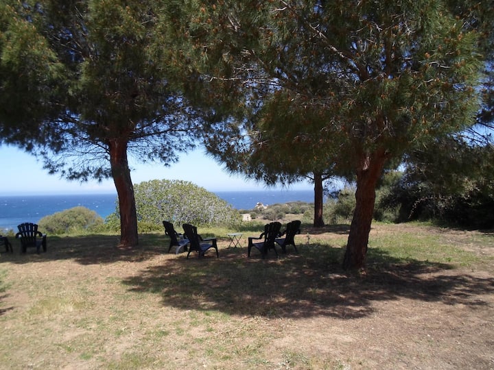 Vignola - Algajola