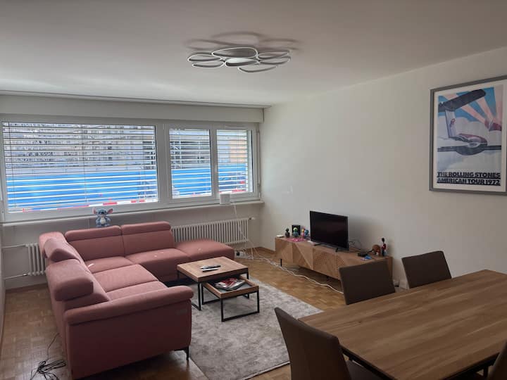 Beautiful 3 Bed Apartment In Chene Bougeries - Annemasse