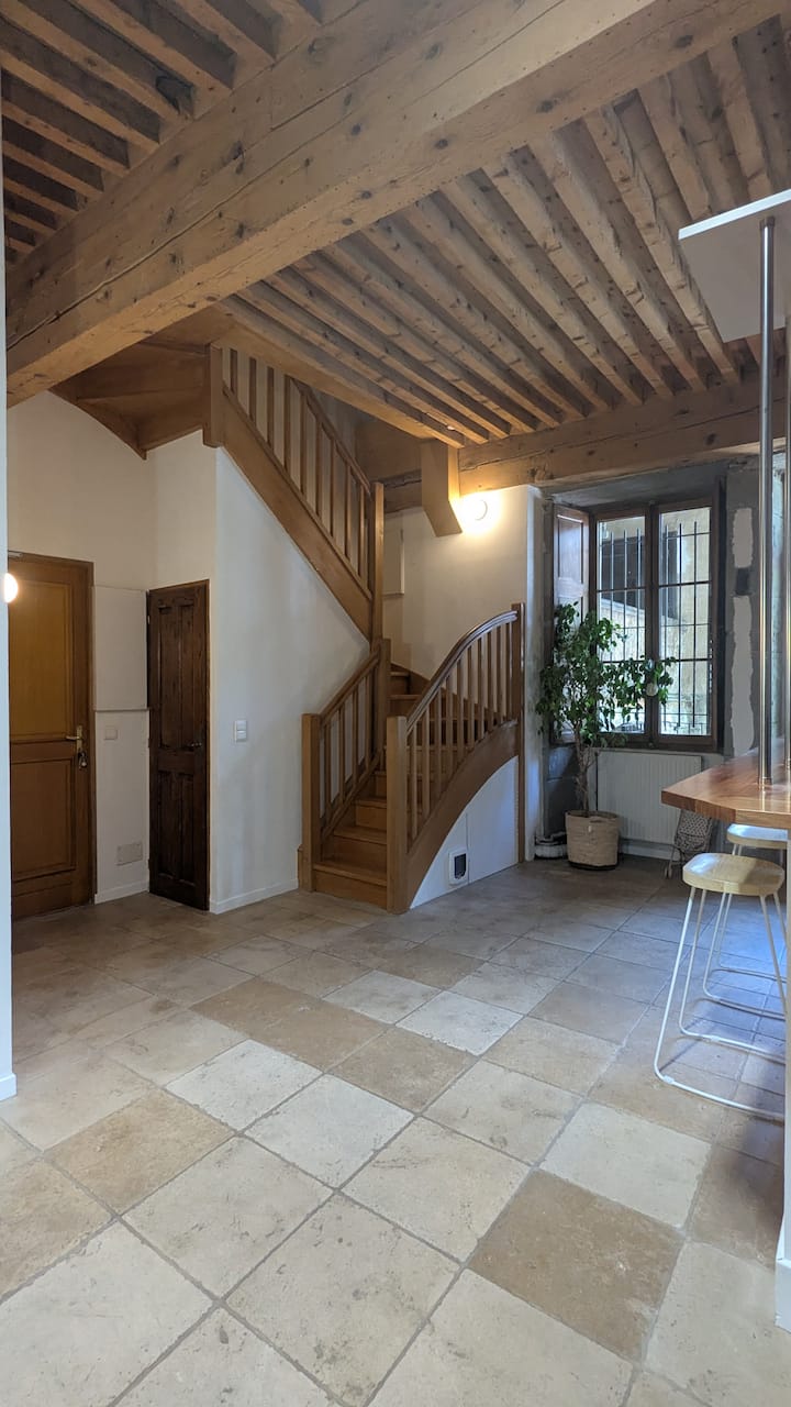 Joli Duplex En Plein Centre Historique - Chambéry