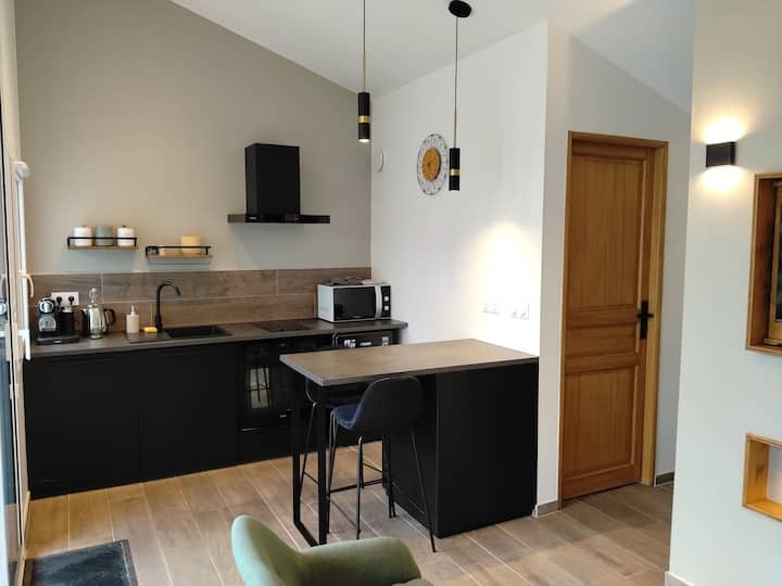 Le Cocon Alpin Studio Cosy Avec Parking - Cluses