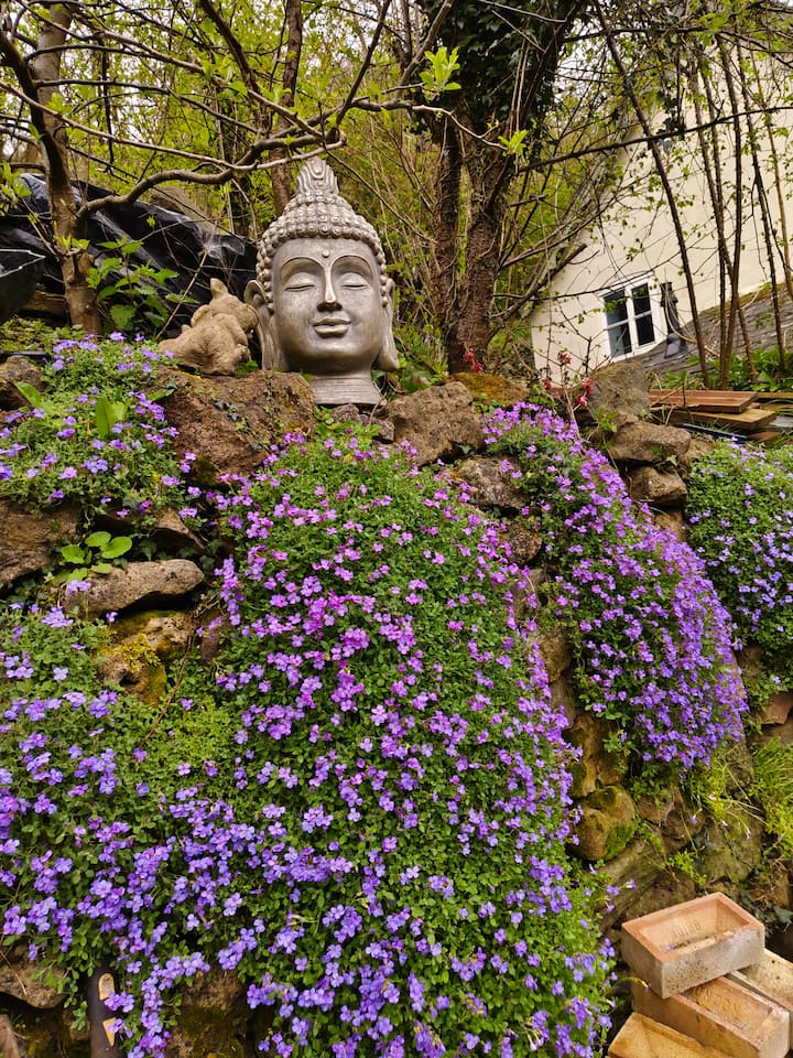 Tranquil Riverside Forest Cottage In Lydbrook - Ross-on-Wye