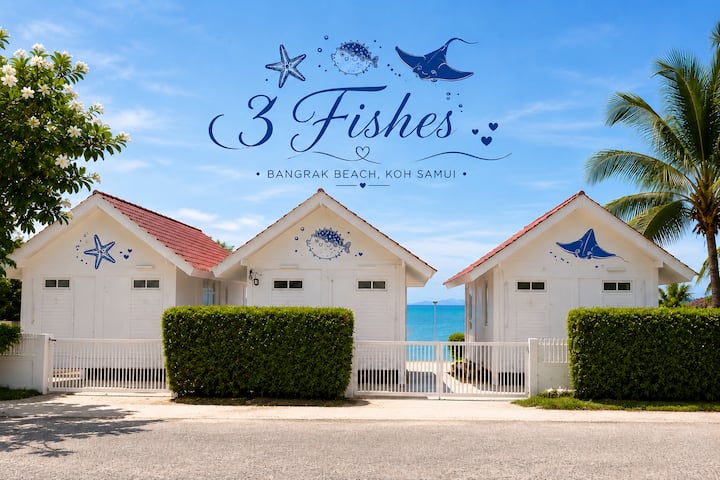 3 Fishes -Beachfront Houses Bangrak-pufferfish - Ko Samui