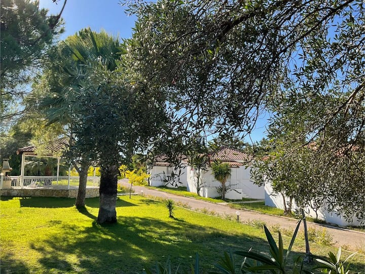 Cute 2 Bedroom Bungalows, Spartia Kefalonia Greece - Kefalonia
