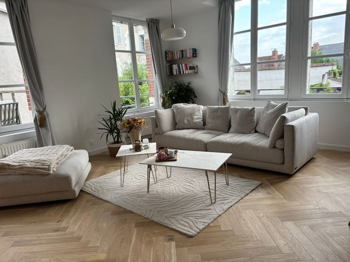 Appartement Haut De Gamme Avec Terrasse. - Blois
