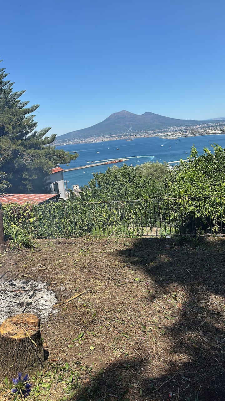 Villa Rustica Con Giardino - Castellammare di Stabia