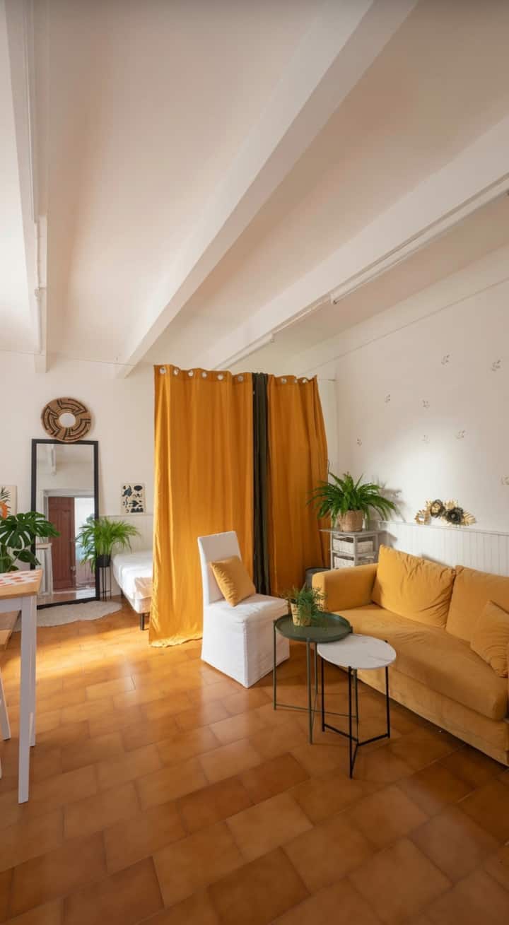 Appart Hôtel Ollioules - Ollioules