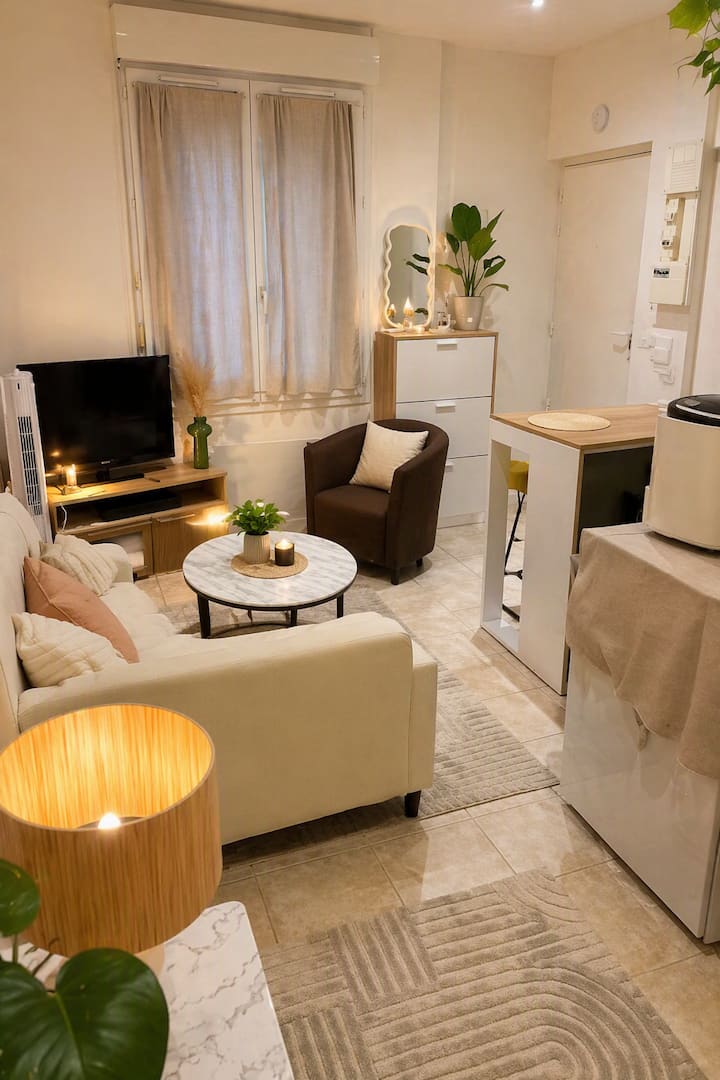 Appartement T2 Oullins Proche Métro B - Pierre-Bénite