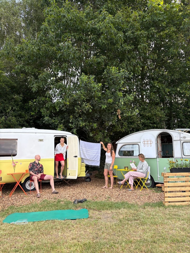 Retrocaravans Grace & Lilly Op Het Bloemenplukveld - Beernem