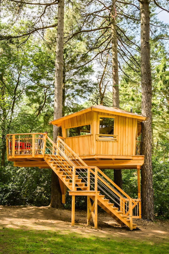 Baumhaus Wernerwald - Cuxhaven